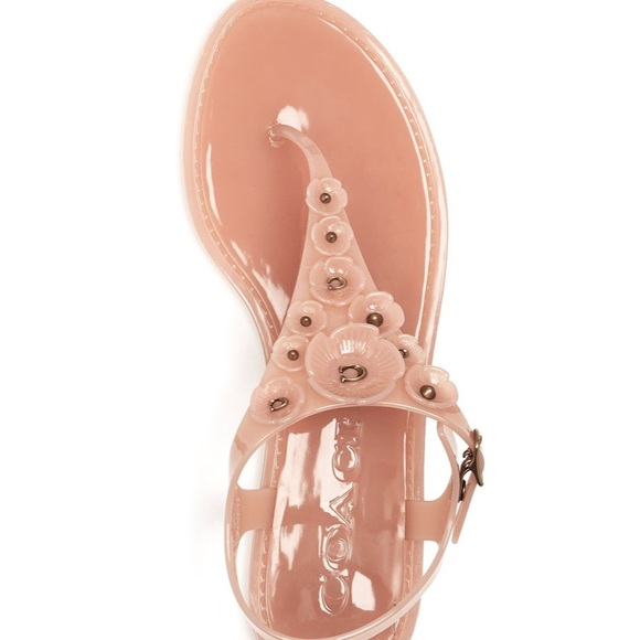 Coach | Shoes | Coach Tea Rose Jelly Sandals | Poshmark